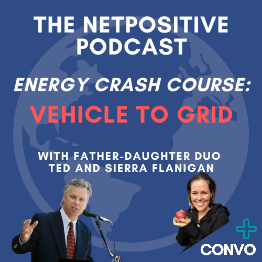 Vol. 23 #11: COP26 and Carbon | EcoMotion