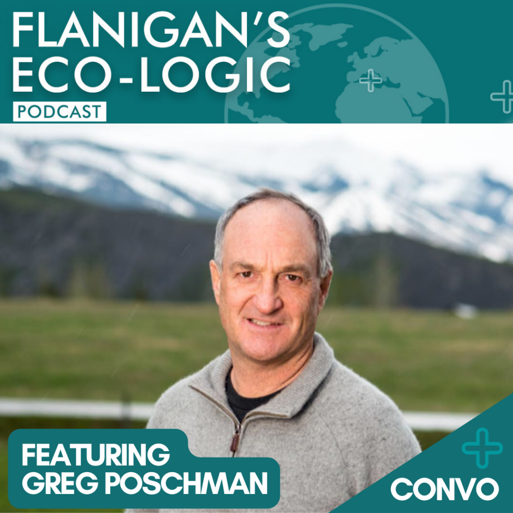 Vol.25 #6: The Renewable Tipping Point | EcoMotion