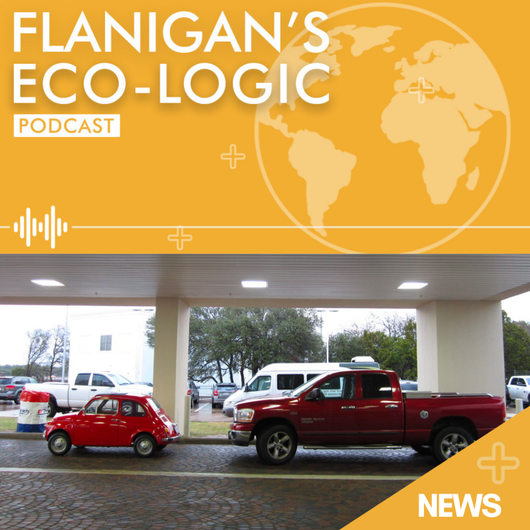 Vol.25 #10: Bloated Cars | EcoMotion